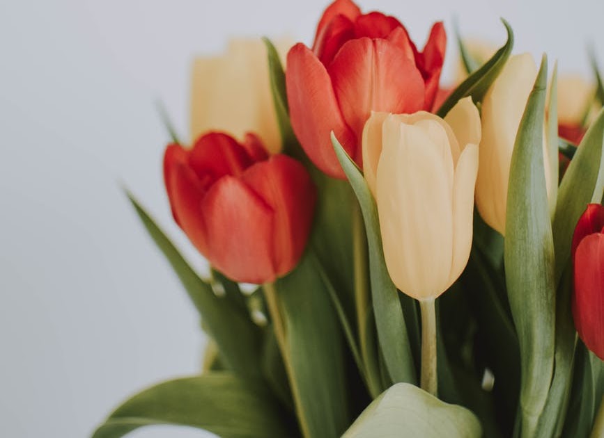 POESIA DE AYER, HOY Y SIEMPRE: ROMANCE DE LA PERDIDA DE ALHAMA