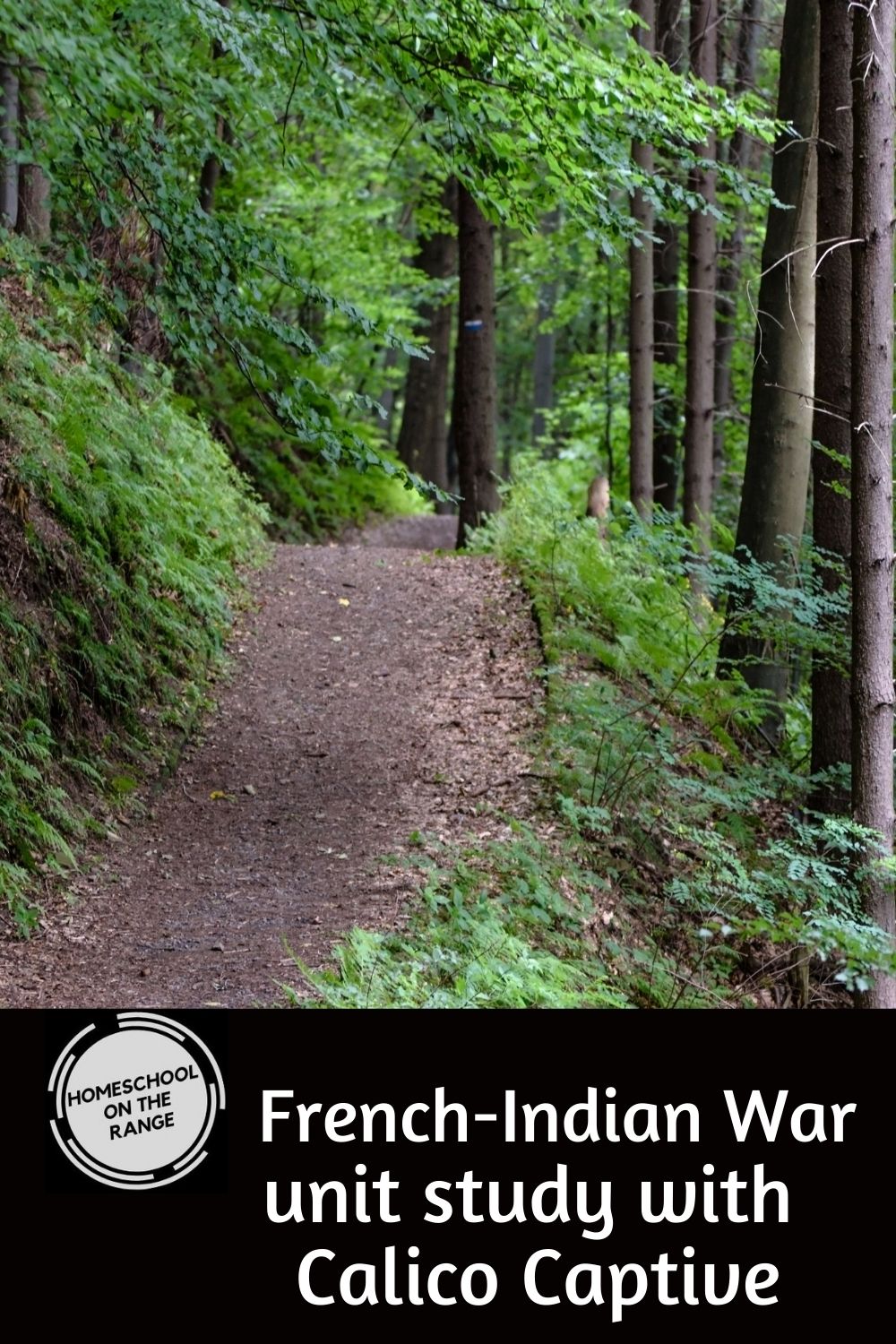 Homeschool On the Range: Calico Captive & the French-Indian War