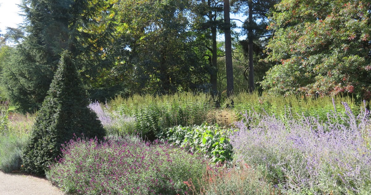 Let's Go! The Great Broad Walk at Kew Gardens