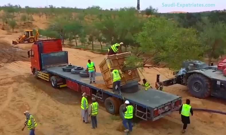 Video : "Green Riyadh" Project aims to Plant at least 7.5 Million Trees ...