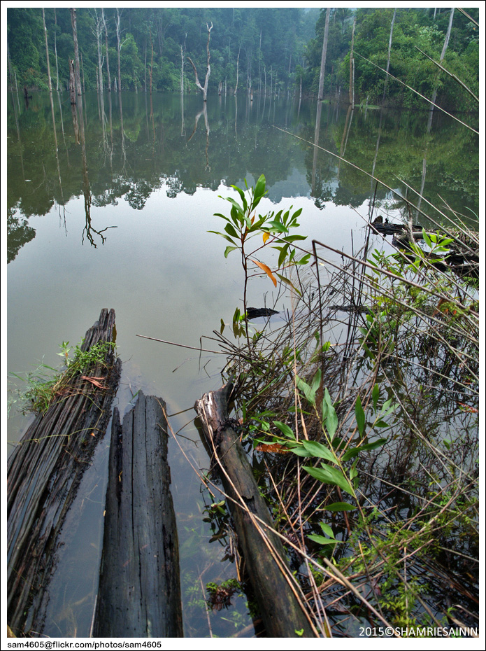 UUM Sintok Lake