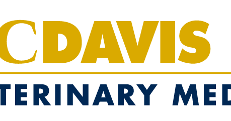 Program Spotlight: UC Davis Veterinary Medicine Summer Enrichment Program