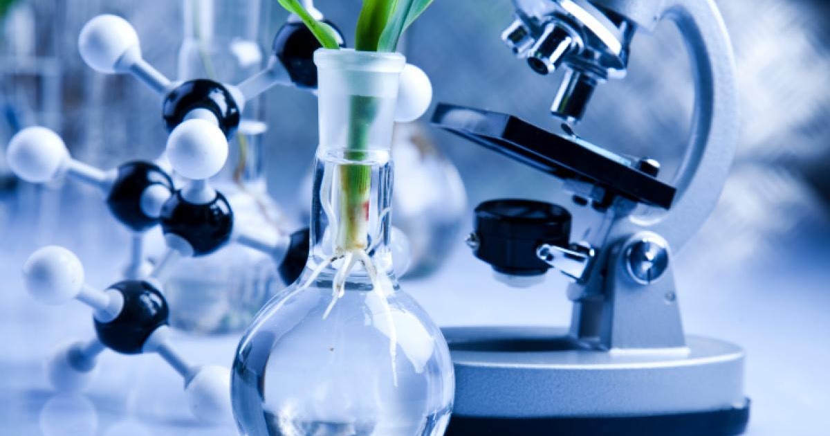 CRECIMIENTO POBLACIONAL DEL ECUADOR: PROCESOS GENERADOS A TRAVEZ DE LA ...