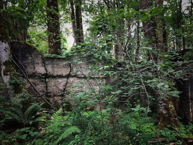 West of the 5th : Clayburn Village