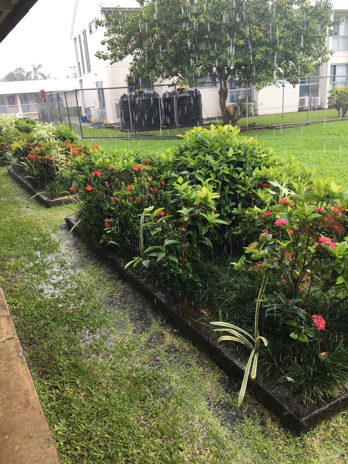 New ZimZim: Professional Development Pesega, Samoa