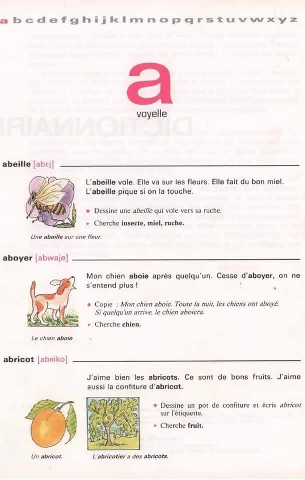 dictionnaire francais