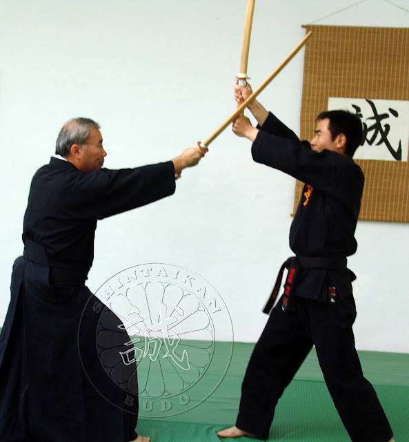 KENJUTSU DE LA ESCUELA YOSHIN RYÛ