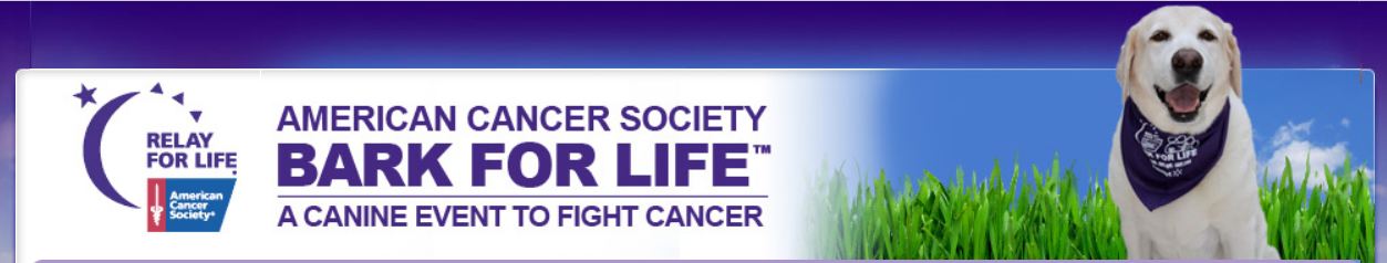 Adventures in Fundraising: Bark For Life: Gear up for on-site fundraising!