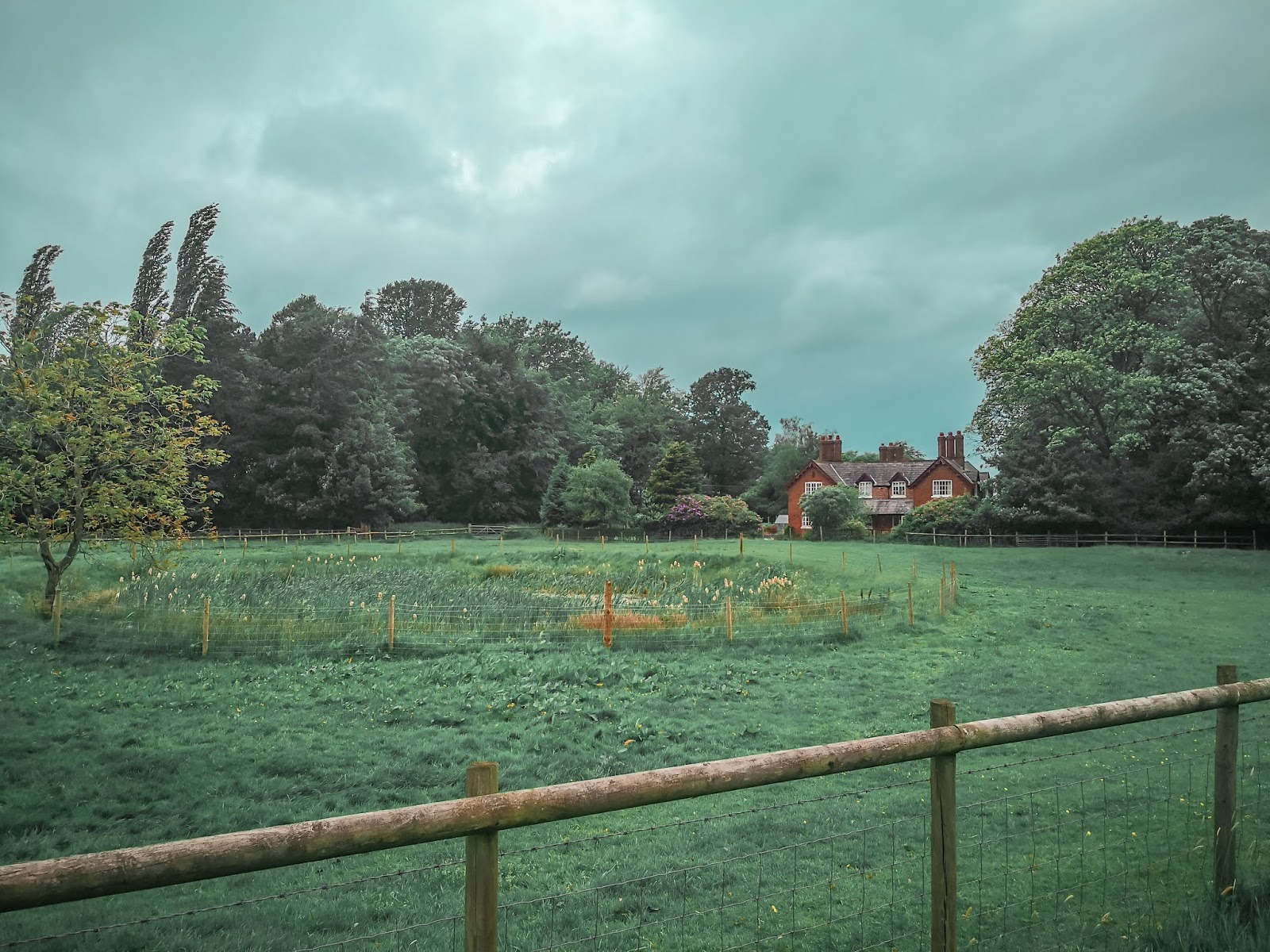 TATTON PARK - THE FARM - Hi5 the world