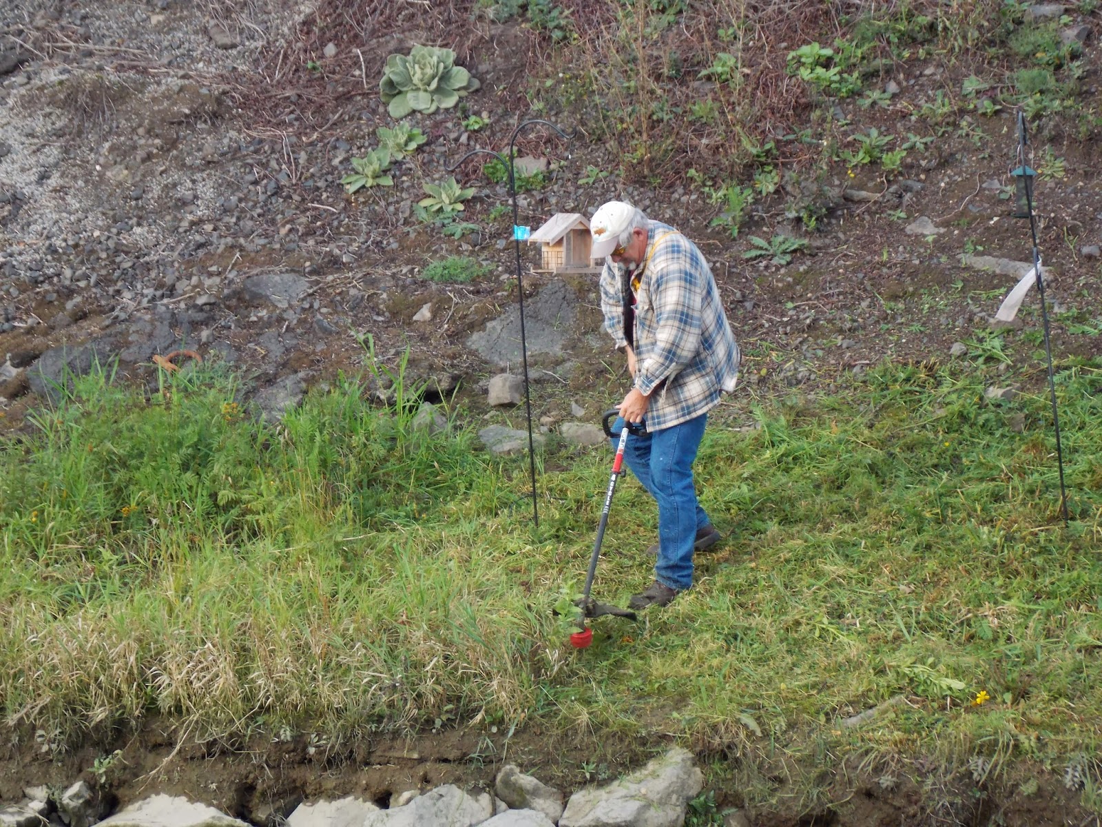 Alaskan Sea-Duction: Floating Turds