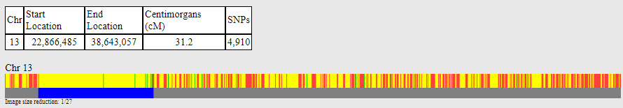 The Ultimate Family Historians: How to use GEDmatch - Part 2