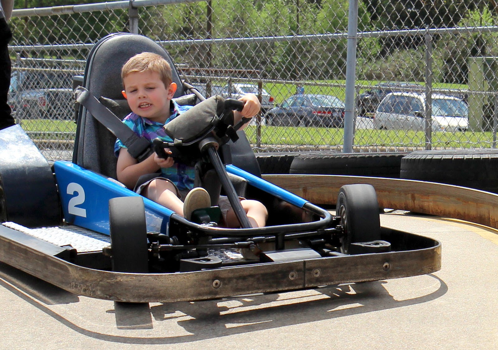 Snake & Snails, Sugar & Spice..The Galbraith Tales: Adventure Landing ...