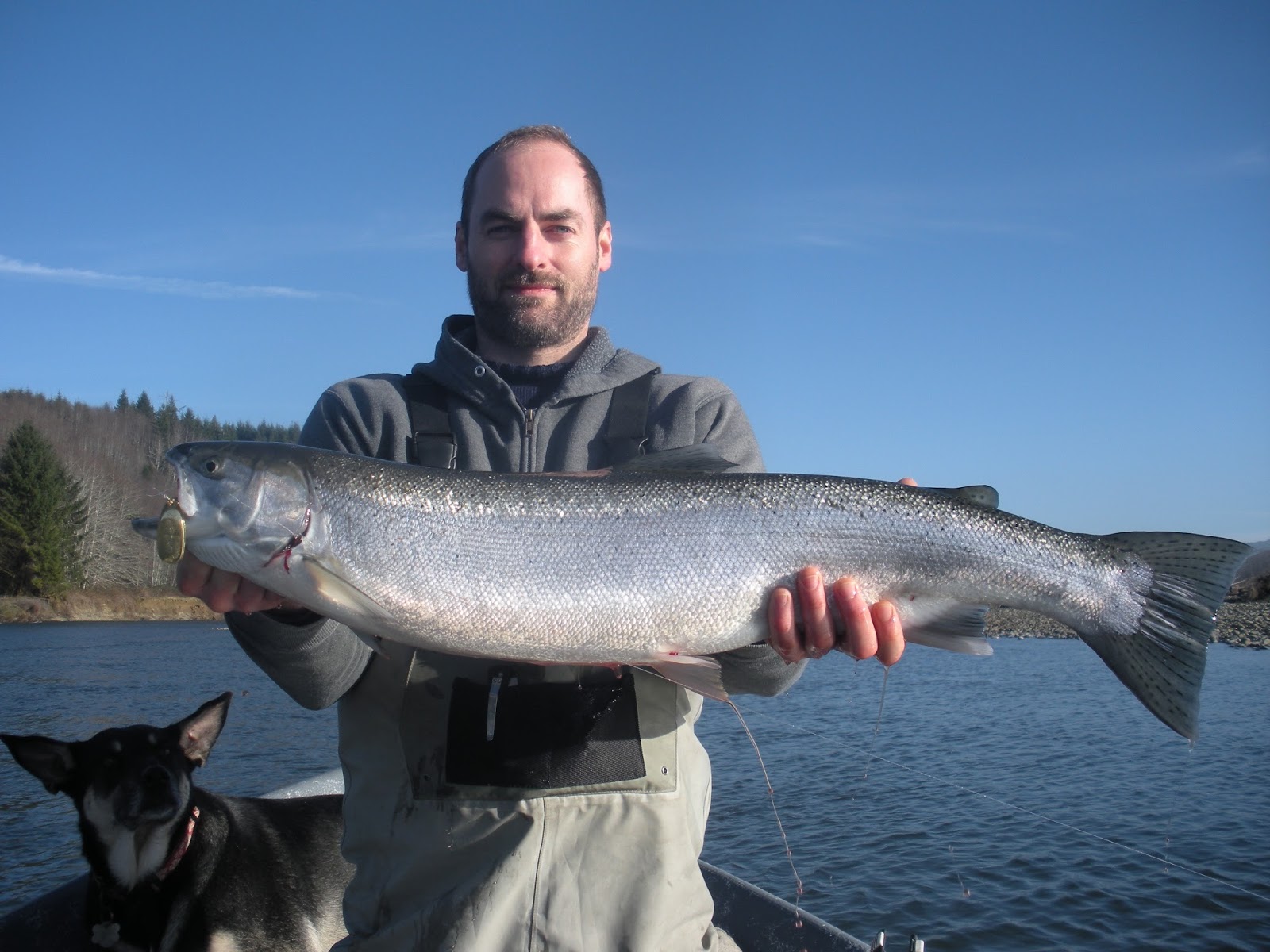 PAT NEAL WILDLIFE: Places On The Olympic Peninsula to Send People You ...