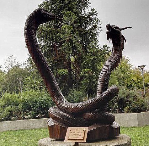 COSMOECOLOGÍA: Ofiolatría Mapuche