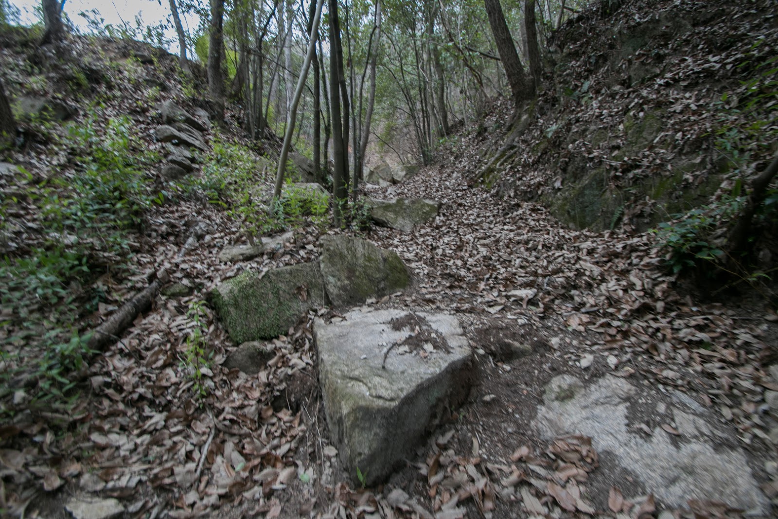 Niitakayama Castle -Intellectual pillar of Mouri clan (2)- | Japan ...