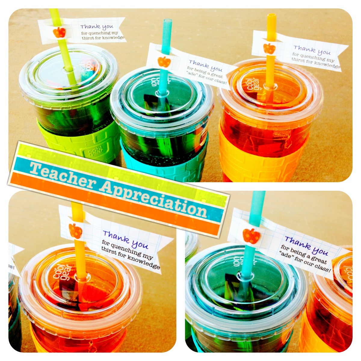 Larcie Bird: Teacher Appreciation Week