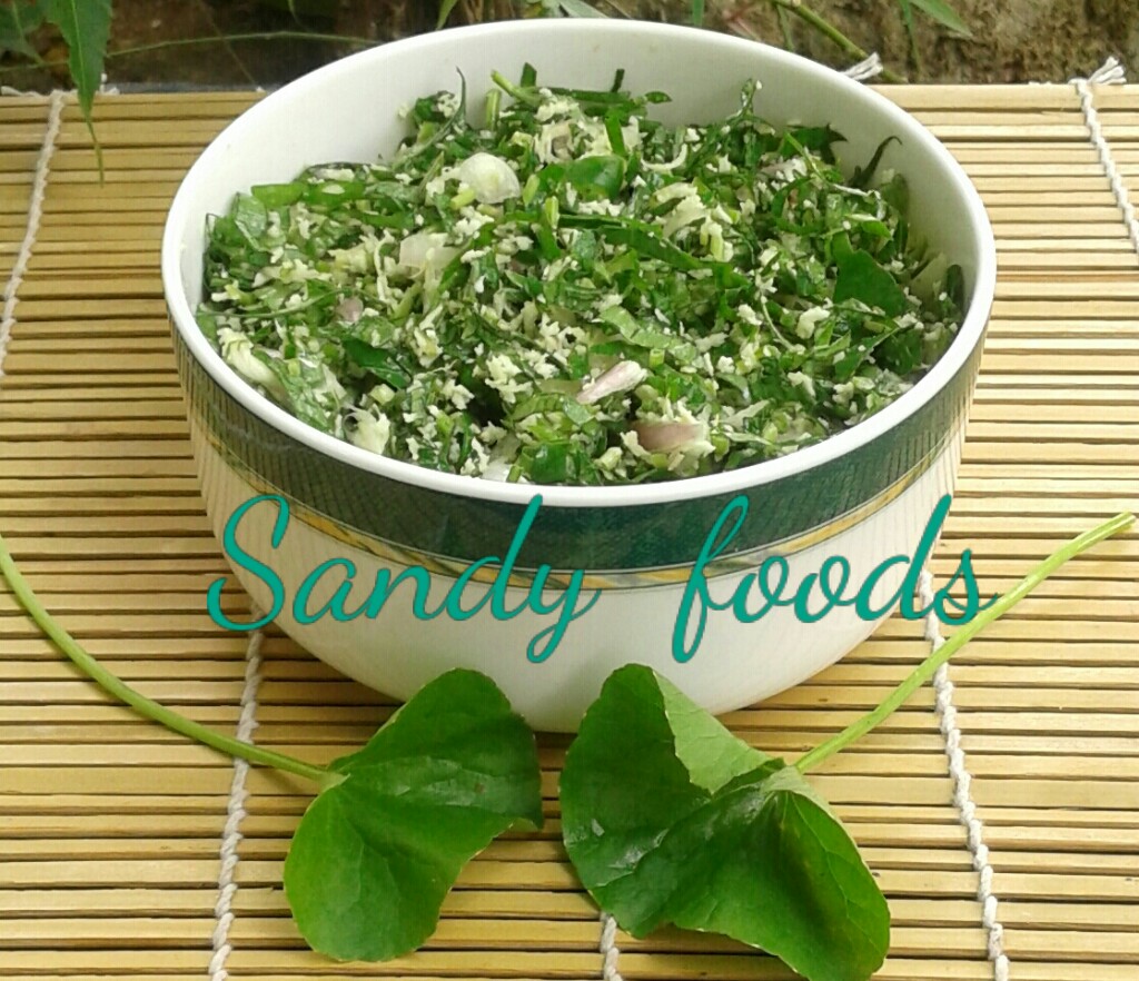 ගොටු කොළ සම්බෝලය - Gotu Kola Sambola (Salad) ~ Sandy Foods | Sri Lanka