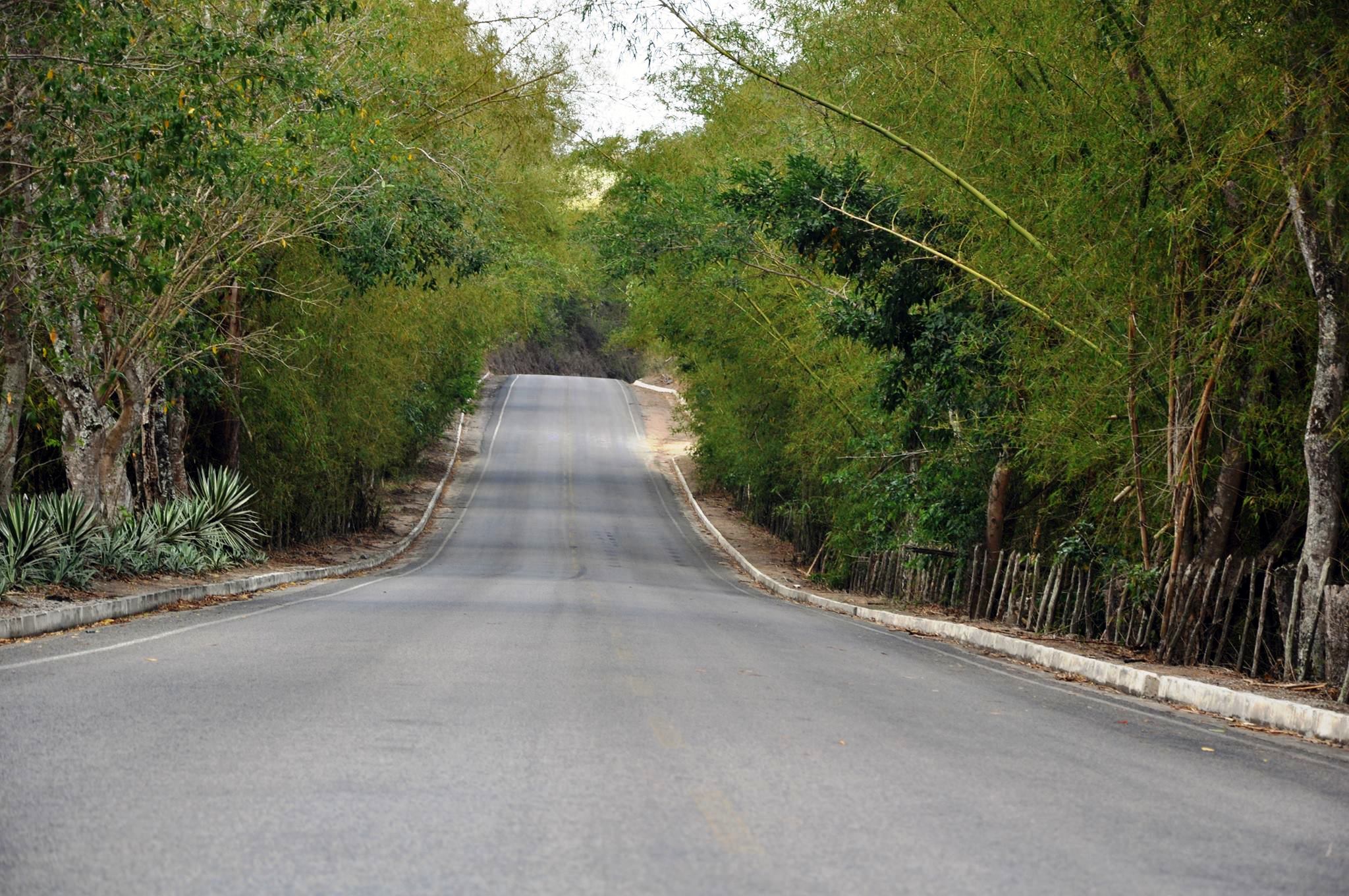 VIAGEM, TURISMO E AVENTURAS POR LUGARES INCRÍVEIS : BOCA DA MATA ...
