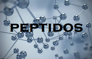 Péptidos