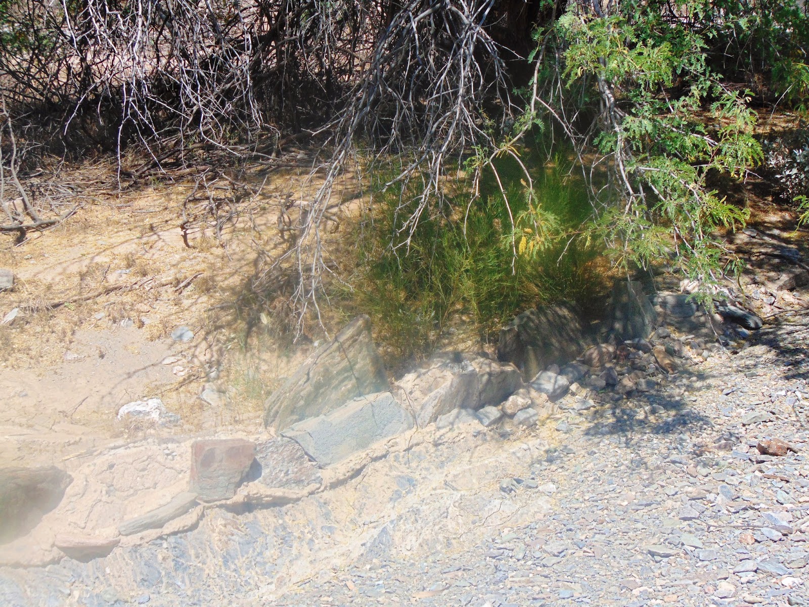 Scenic Phoenix: Dreamy Draw Park - North Central Phoenix