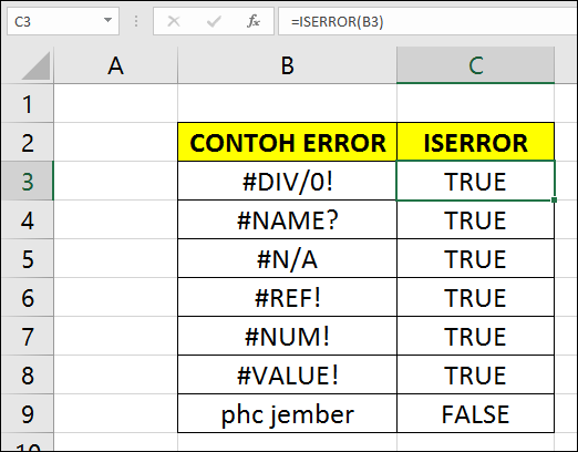 Studi Kasus Excel Rumus Fungsi ISERROR | Belajar Excel Sampai Ahli