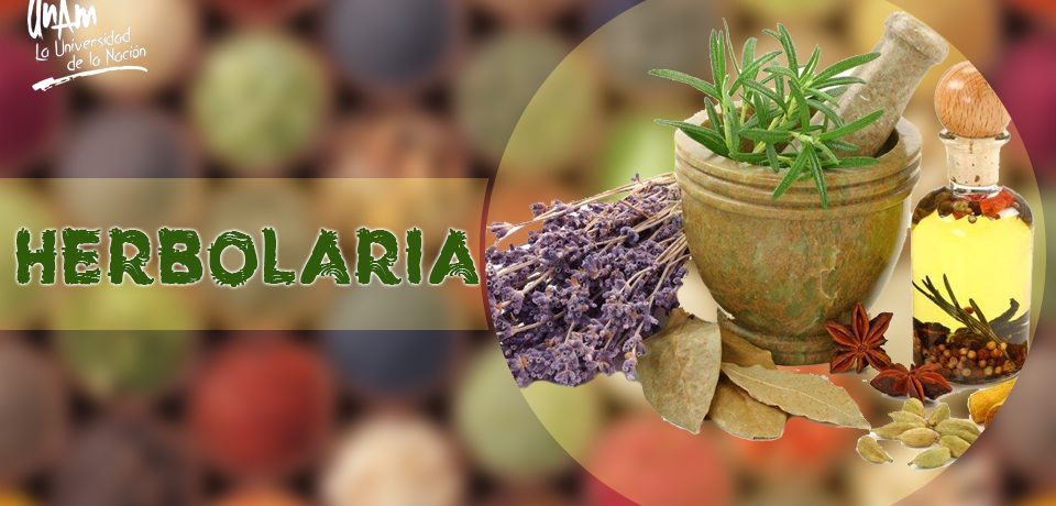 HERBOLARIA Y PLANTAS MEDICINALES