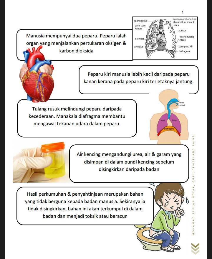 Info Sains Tahun 3, 4, 5 & 6 - BAHAN SEKOLAH RENDAH