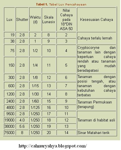 cahaya nurani yahya: Sinar Cahaya Gelombang