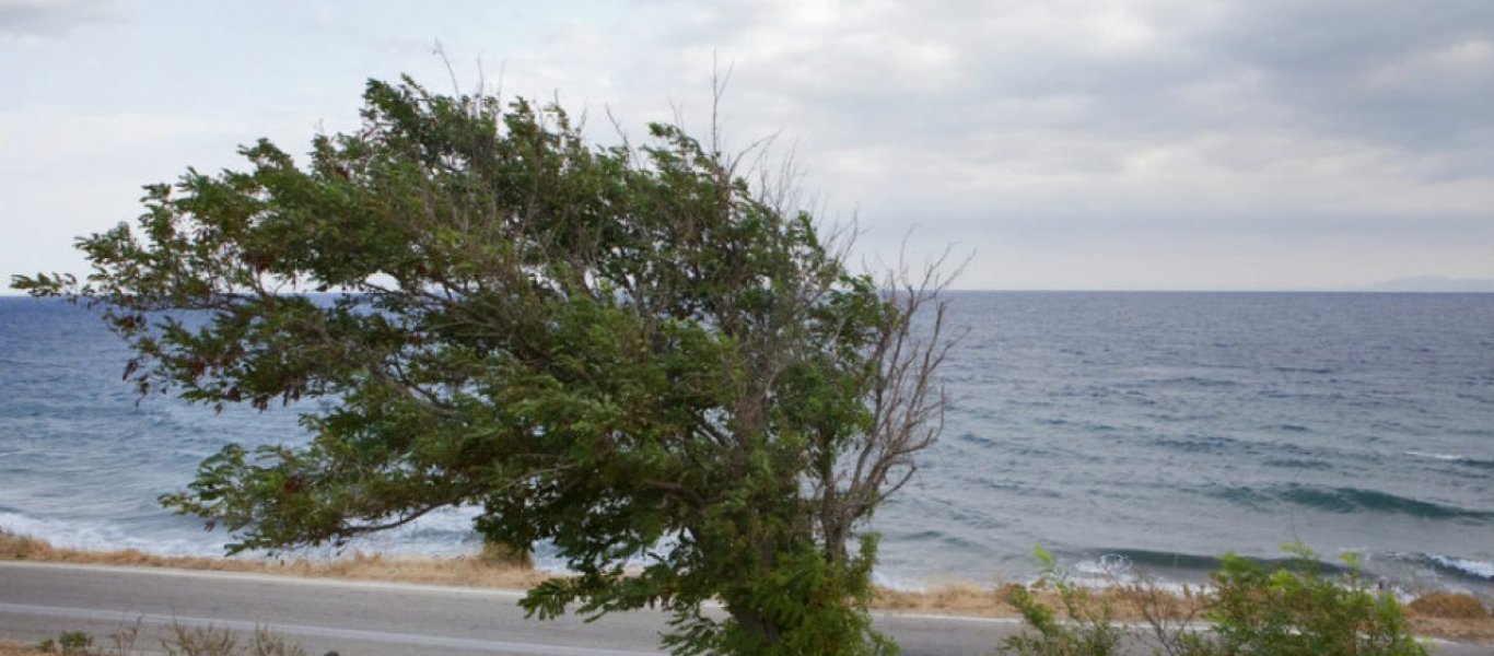 ΕΚΤΑΚΤΟ ΔΕΛΤΙΟ ΕΠΙΔΕΙΝΩΣΗΣ ΤΟΥ ΚΑΙΡΟΥ: ΕΡΧΟΝΤΑΙ ΙΣΧΥΡΟΙ ΑΝΕΜΟΙ ΚΑΙ ...