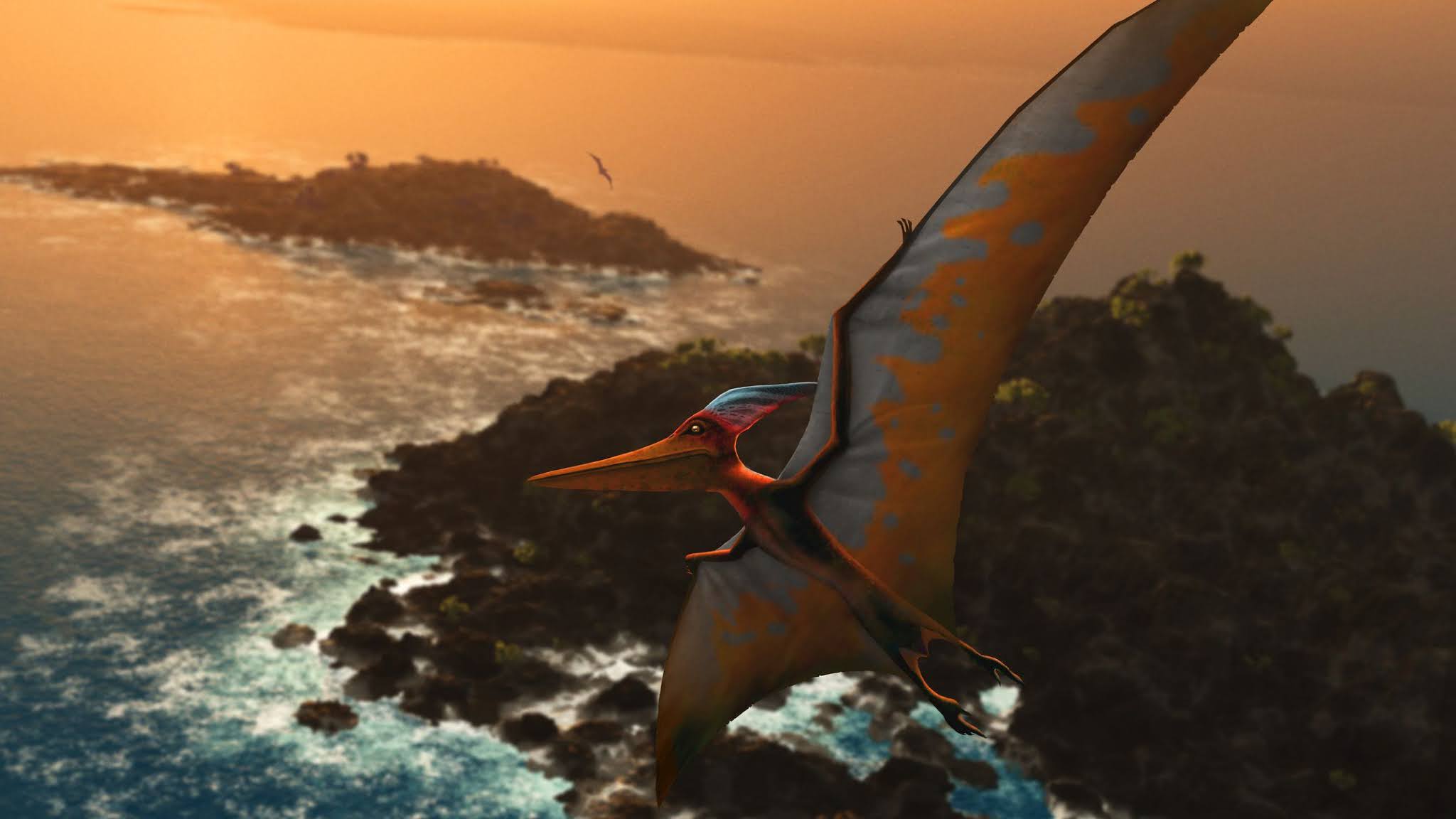 Pterosaur: The Largest Flying Creature