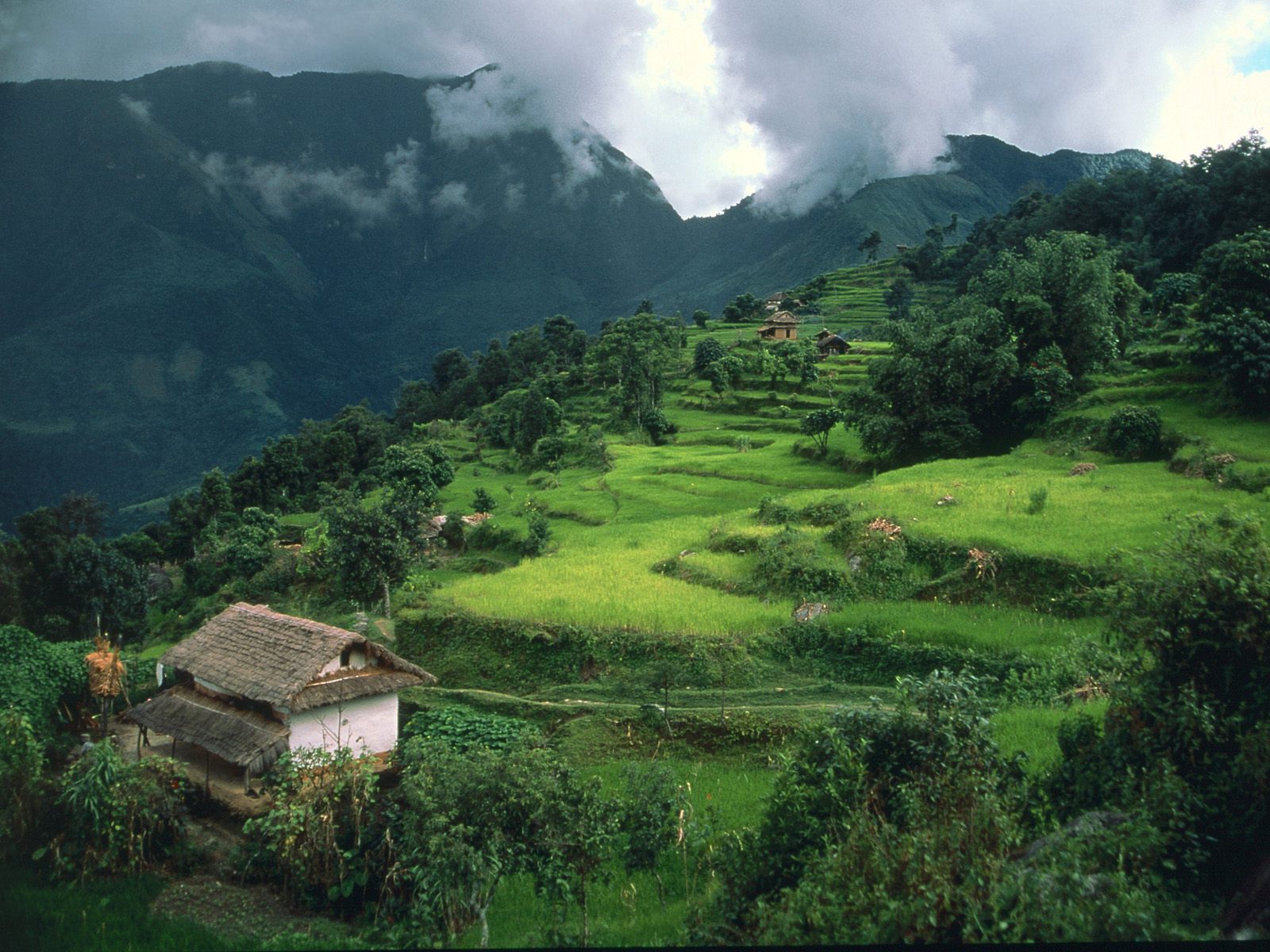5 Interesting facts of our Neighbor Country Nepal, that will amaze you ...
