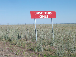 wacky tacky: Signs of the Times: A Road Trip Retrospective