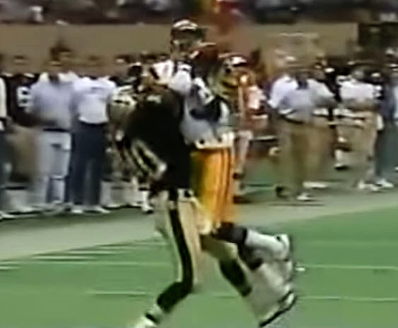 Pro Football Journal: Thirty Years Ago Flipper Anderson Set the Single ...