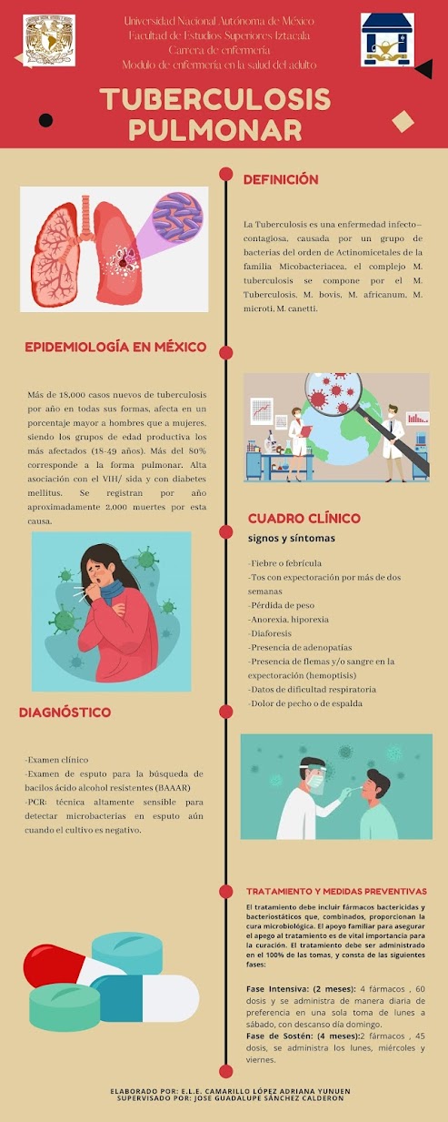 Infografía tuberculosis