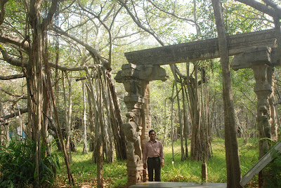 நீலகிரி உயிர்க்ேகாளம் : ஆலமரம்,