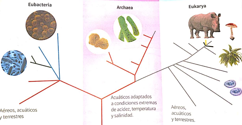 CLASES VIRUALES DOC. JULIO PEREZ: GRADOS QUINTO NATURALES