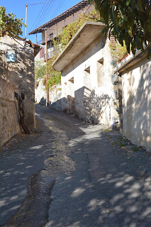 SecretCyprusTravel: Walking in the streets of Agios Theodoros, Pitsilia ...