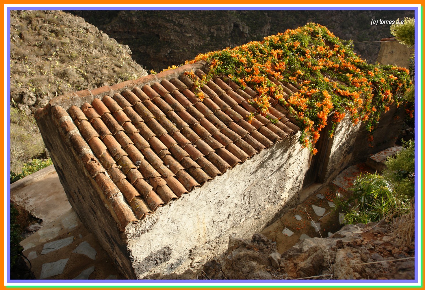 Tenerife senderos......: TENERIFE SENDEROS --GUIA ISORA-- EL JARAL -LAS ...