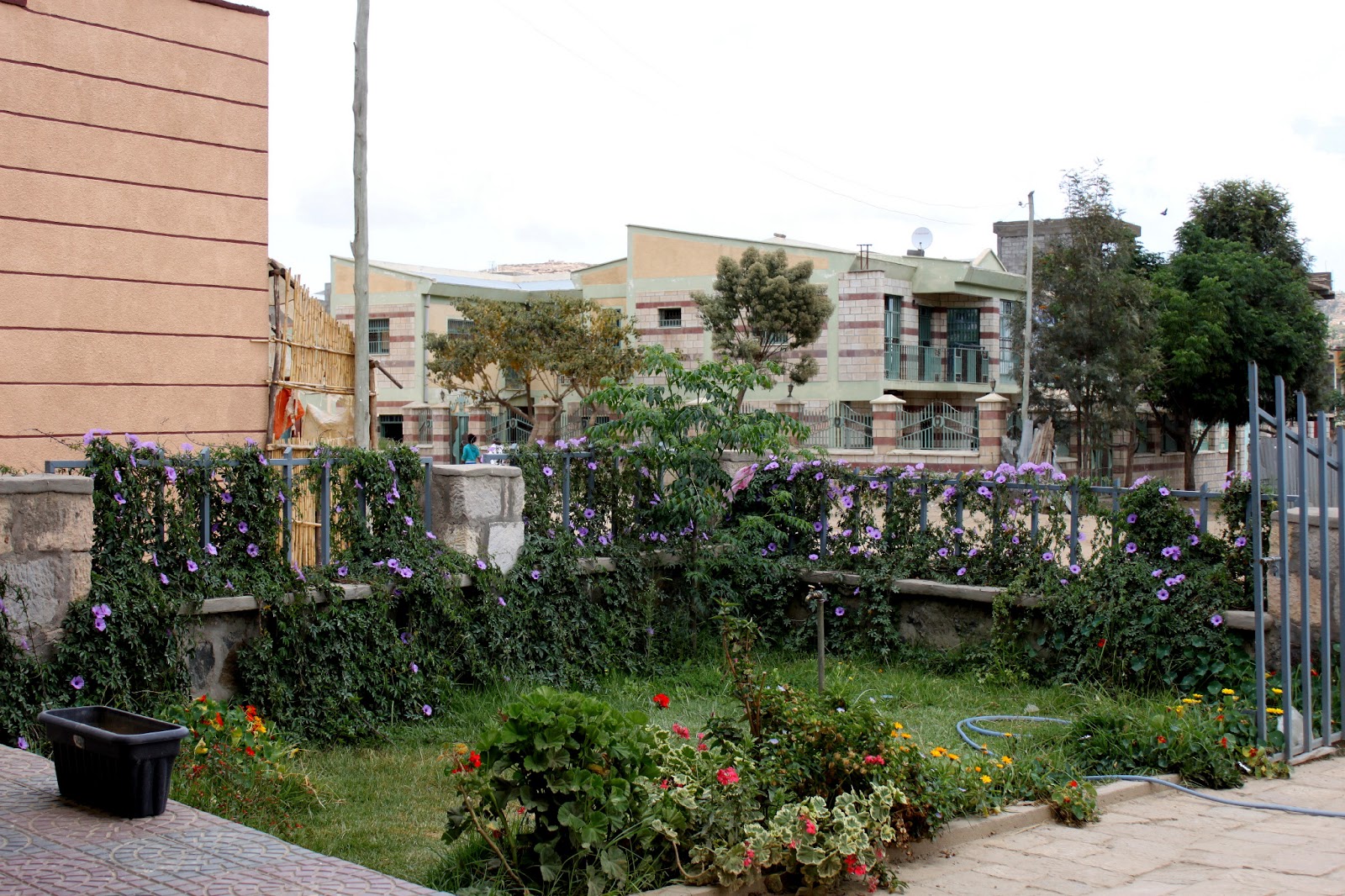 Agamé, Ethiopia: Supporting business women in Adigrat