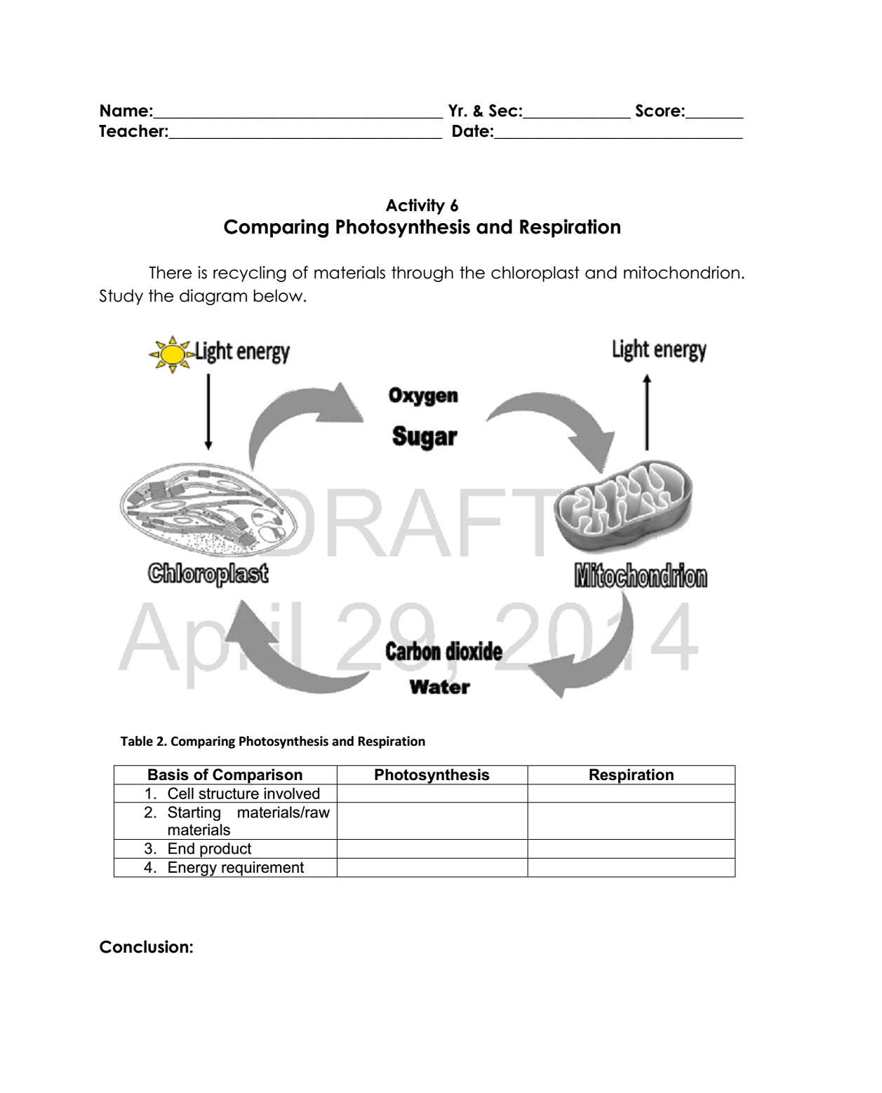 Science Concepts and Questions (K to 12): Photosynthesis and Cellular ...