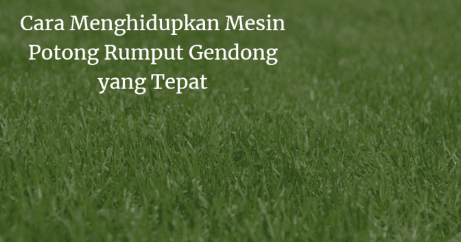 Cara Menghidupkan Mesin Potong Rumput Gendong yang Tepat - Atha Blog Cara Menghidupkan Mesin Potong Rumput Gendong yang Tepat - Atha Blog