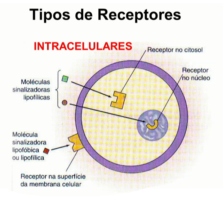 BIOLOGIA PARA A VIDA : setembro 2021