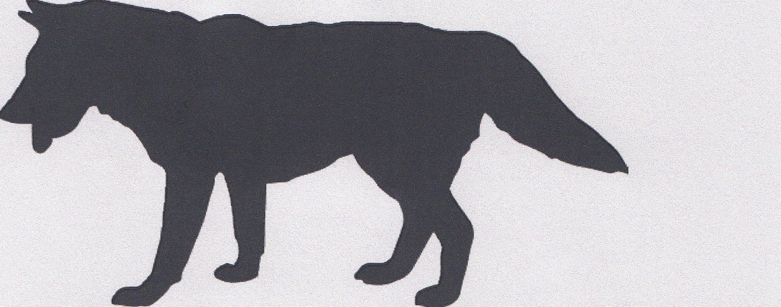 NEWS & VIEWS for Hants Border, Hantsport, and beyond. : Urban coywolf