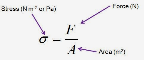 ENGR1304: FEA & Bridges