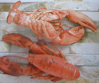 Le Chef Pierre D'Iberville: Guide de cuisson du Homard