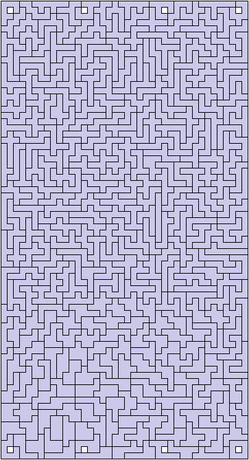 Polyominoes: 40x74 Rectangle with Octominoes