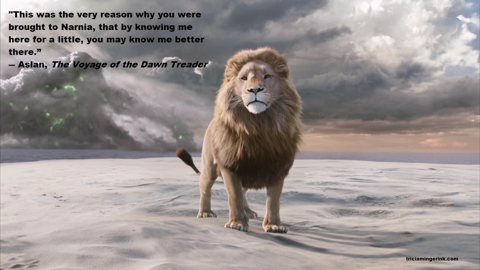 It's All About the Journey: Favorite Book Quotes