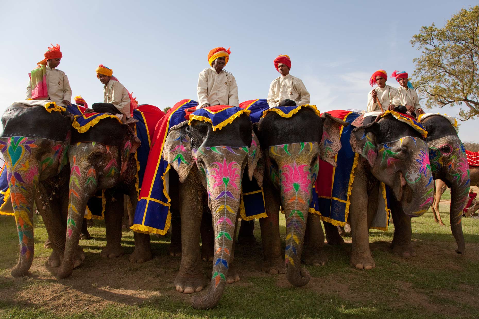 Michael Heffernan Photographer