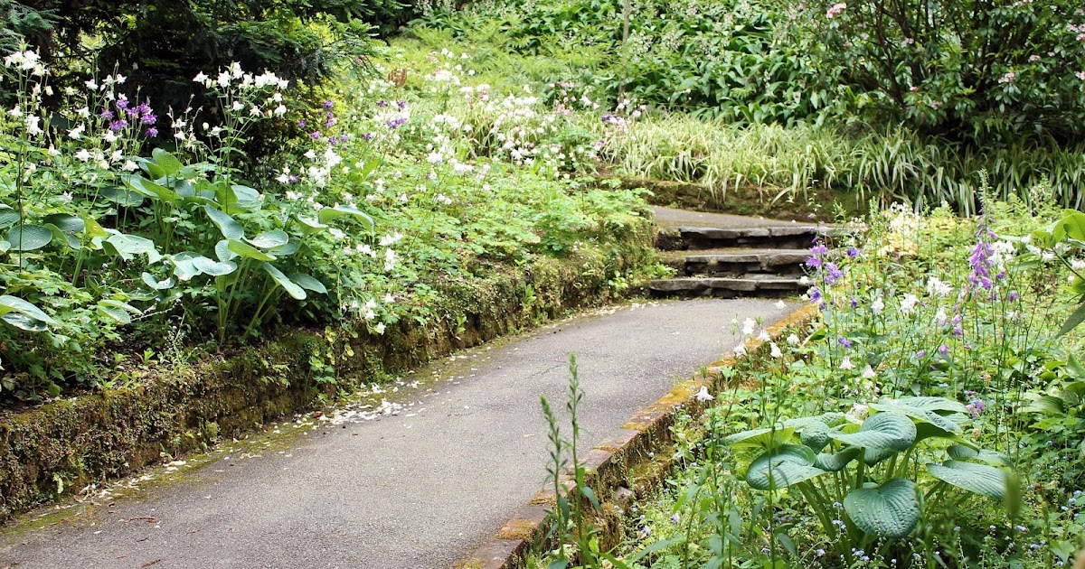 Sacrifice of Love: What we can all learn from Susan Sowerby