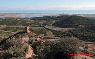 BICHOS Y MAS VLC: DE PASEO POR ALMENARA: EL CASTILLO